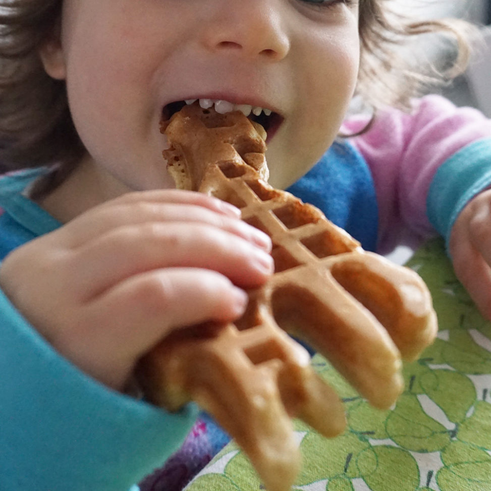 Waffles clássicas [desde os 12 meses] - Na Cadeira da Papa